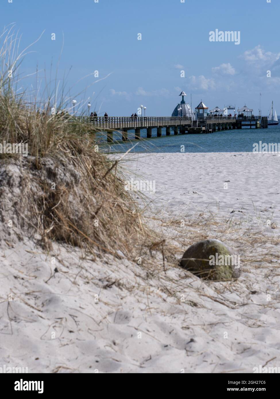 Vertical shot of dry plants on a sandy shore with wooden dock ...