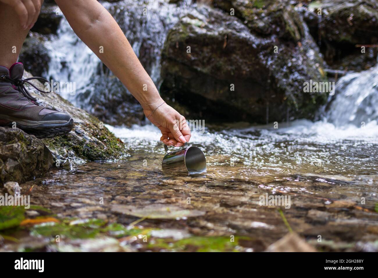Thirsty hiker scoops fresh water into cup from stream in mountains ...