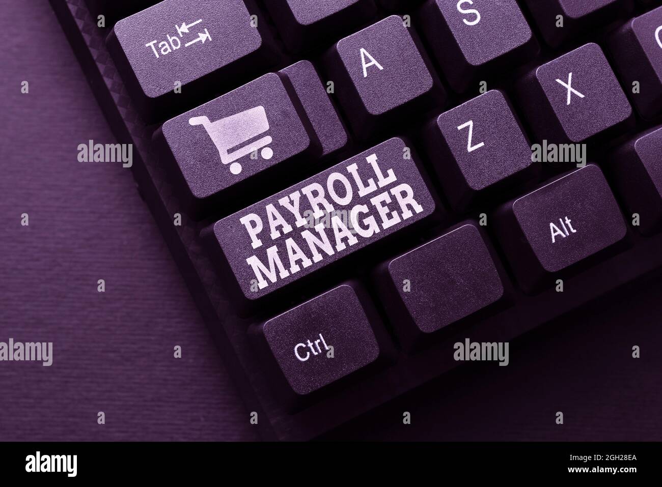 Text sign showing Payroll Manager, Business approach Maintains payroll ...