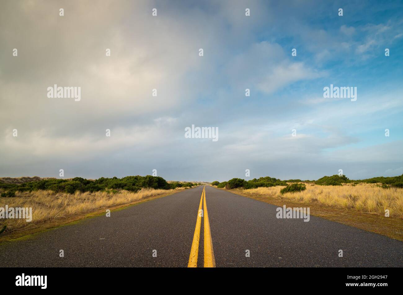 Converging lines country road with dunes and cloudy sky Stock Photo - Alamy