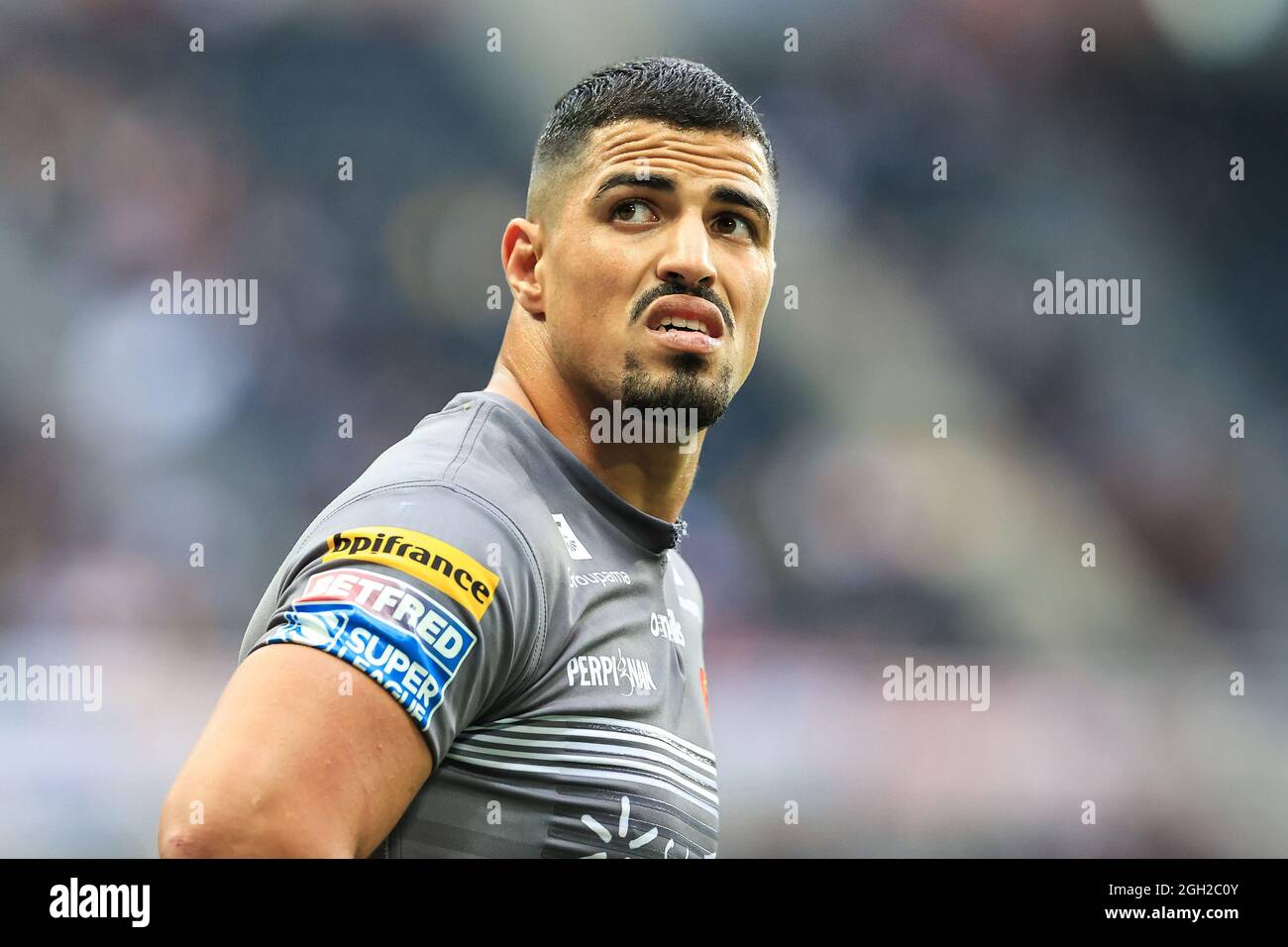 Big dragons hi-res stock photography and images - Alamy