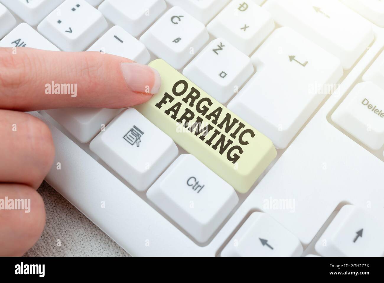 Conceptual display Organic Farming, Conceptual photo agricultural ...