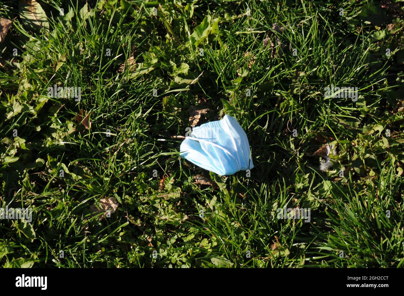 Copenhagen, Denmark., 04.September 2021, Face mask as trsh in nation ...