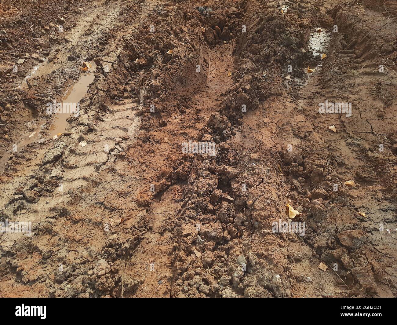 Car tracks mud hi-res stock photography and images - Alamy