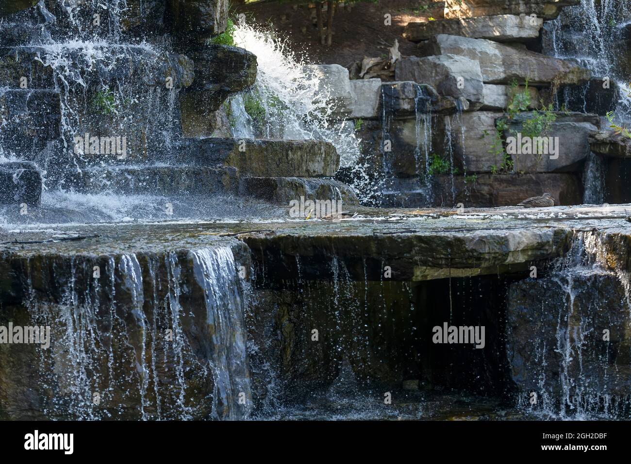 Beautiful waterfall in the park Stock Photo - Alamy