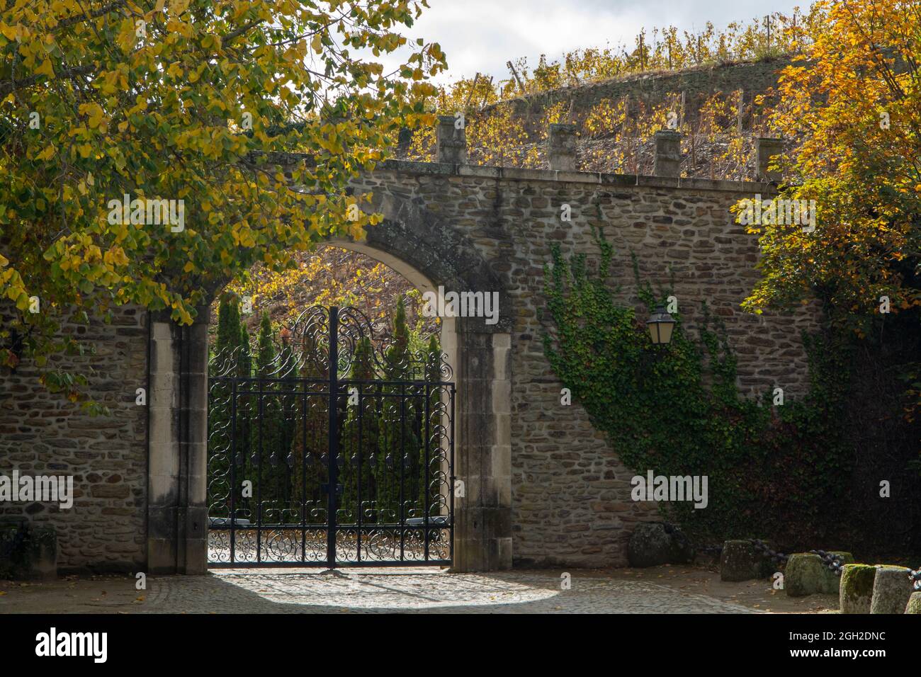 Iron entrance doors in old bodega, Douro river valley, wine making ...