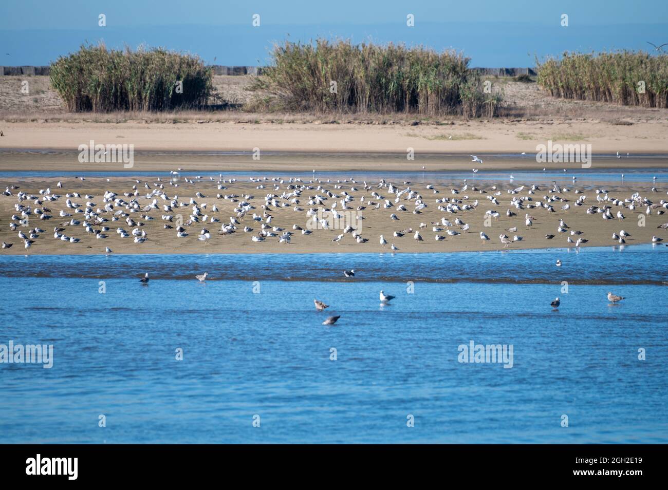 Walking along Douro river from Porto to Atlantic ocean coast, view on ...