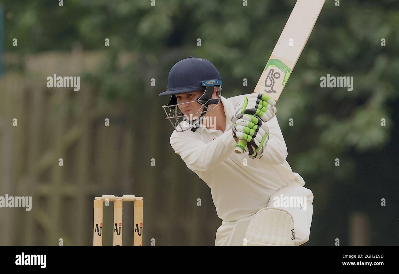 David steele hi-res stock photography and images - Alamy