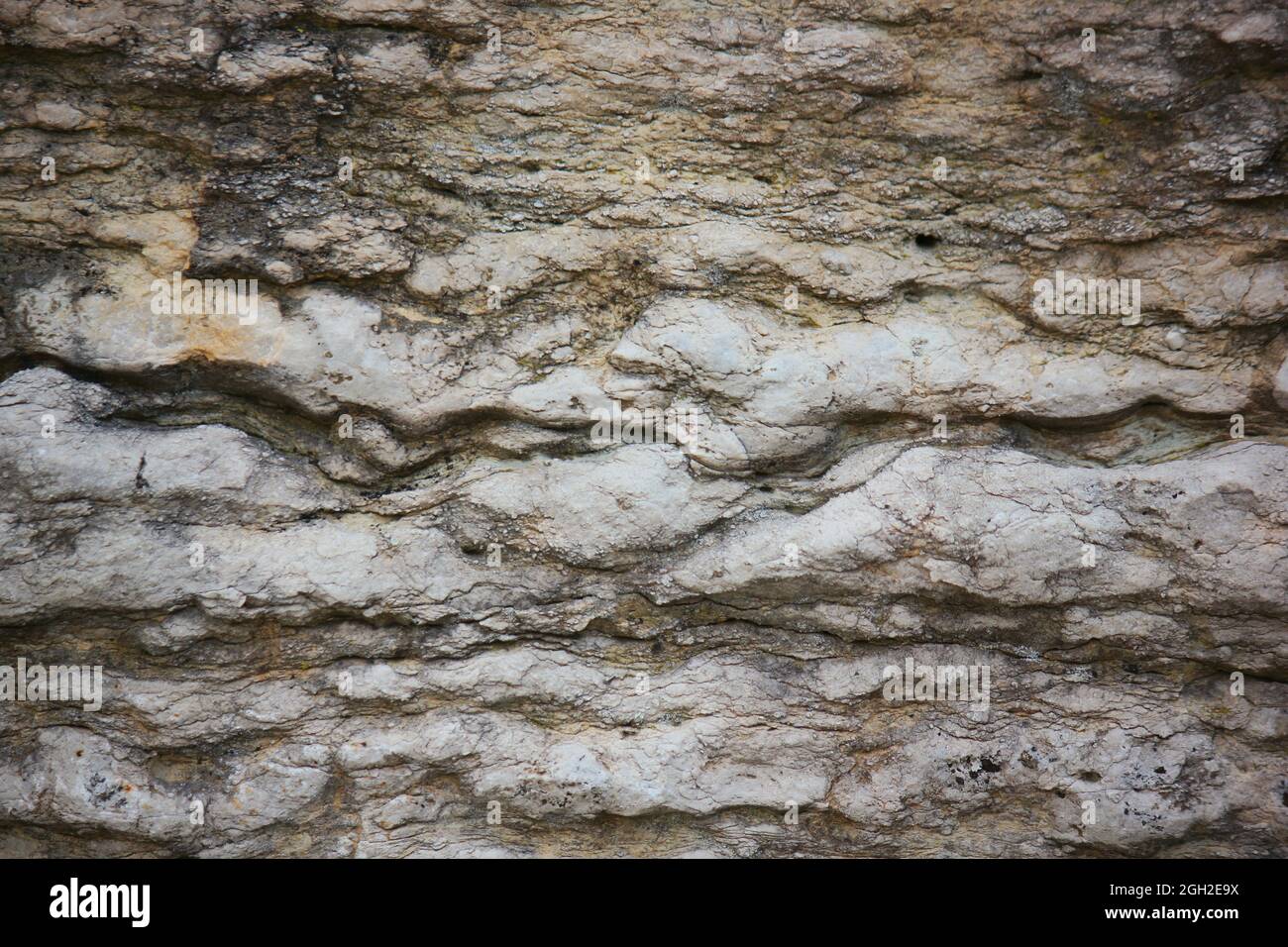 Weathered Indiana limestone with deep striations Stock Photo - Alamy