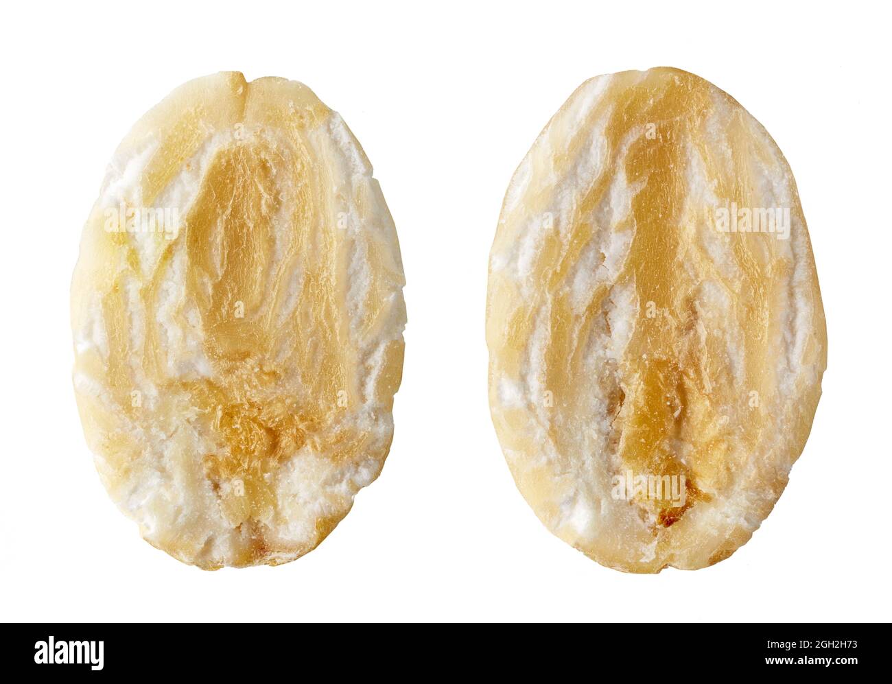 oat flakes macro isolated on white background Stock Photo - Alamy