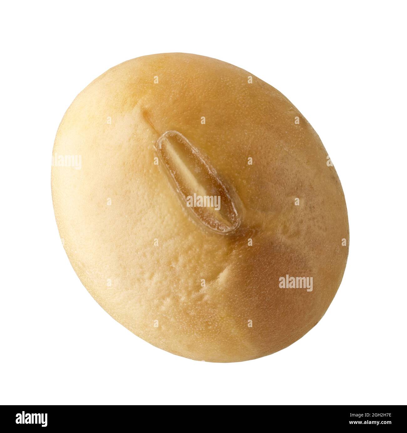 Soybean germ hi-res stock photography and images - Alamy