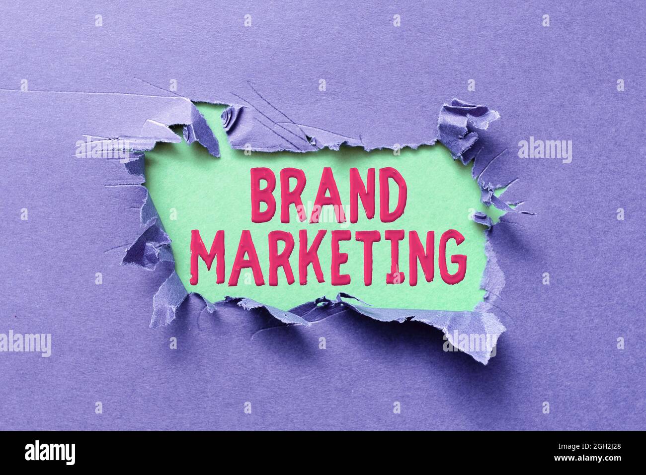 Writing displaying text Brand Marketing. Business overview creating a ...