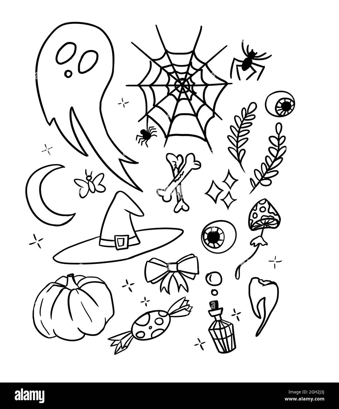 Autumn is the spider season Black and White Stock Photos & Images - Alamy