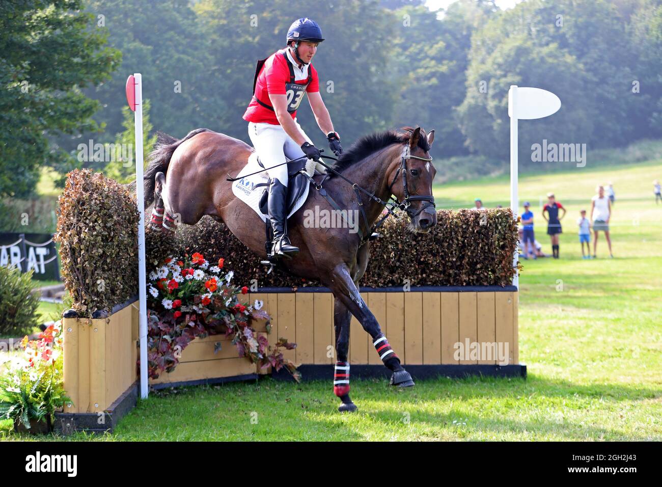 Bicton horses hi-res stock photography and images - Alamy