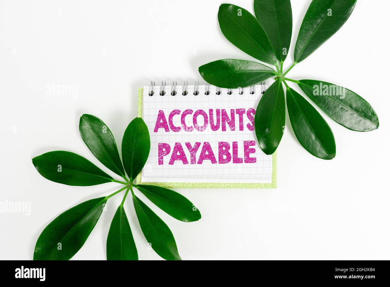 Inspiration showing sign Accounts Payable. Word Written on money owed ...