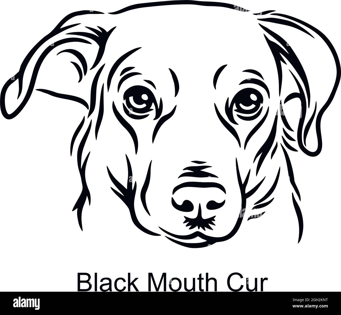 Black Mouth Cur Portrait Dog in Line style - Pet Portrait in Light ...