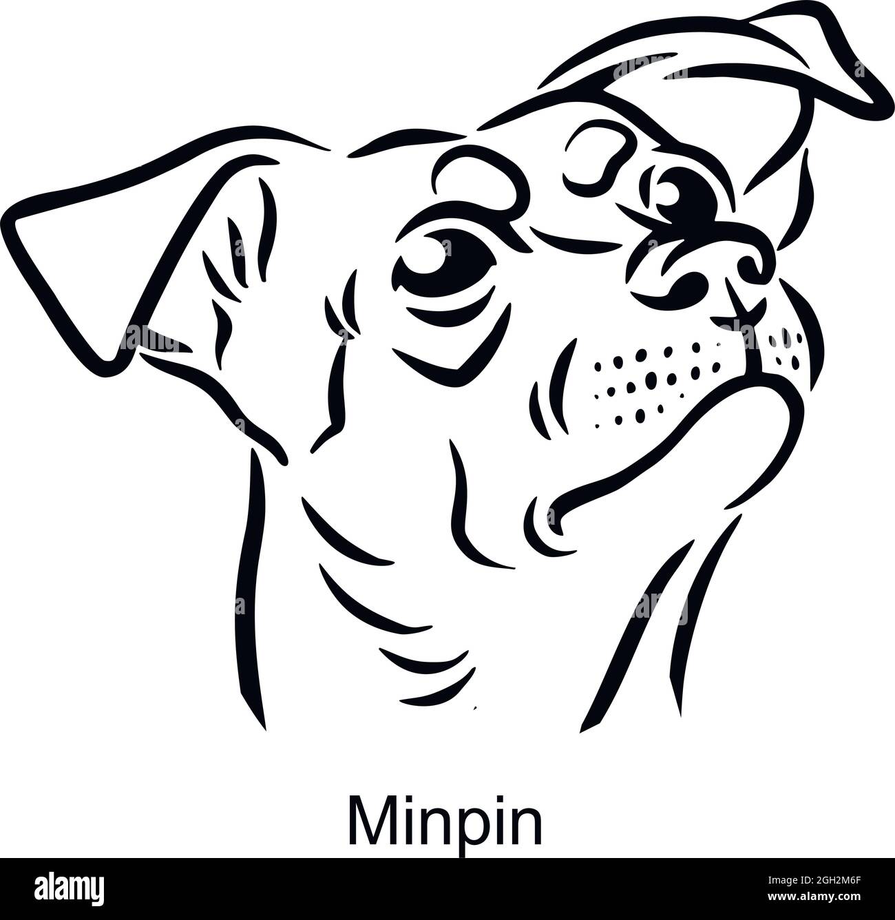 Miniature Pinscher Portrait Dog in Line style - Pet Portrait in Light ...