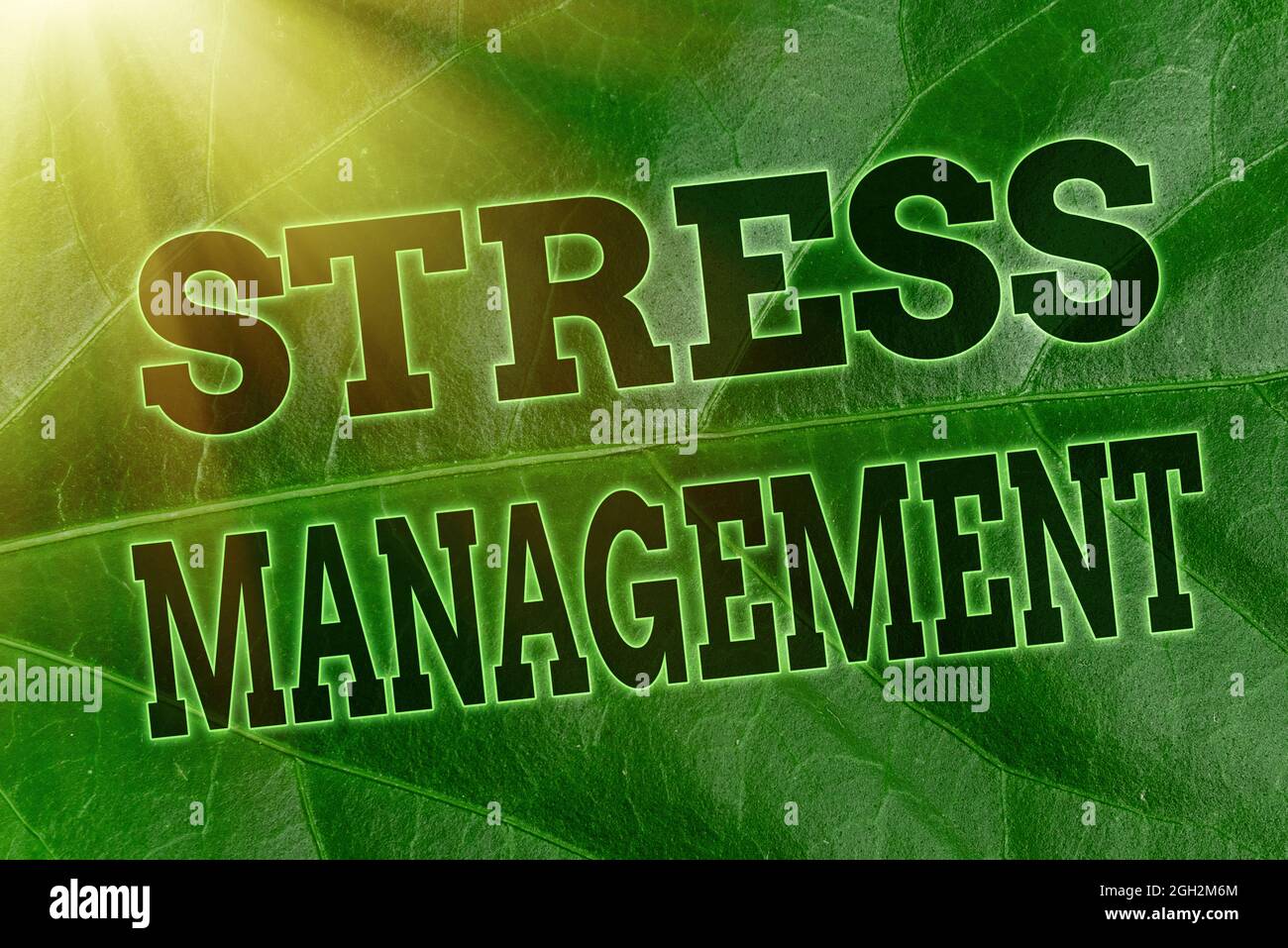 Conceptual display Stress Management. Word Written on learning ways of ...