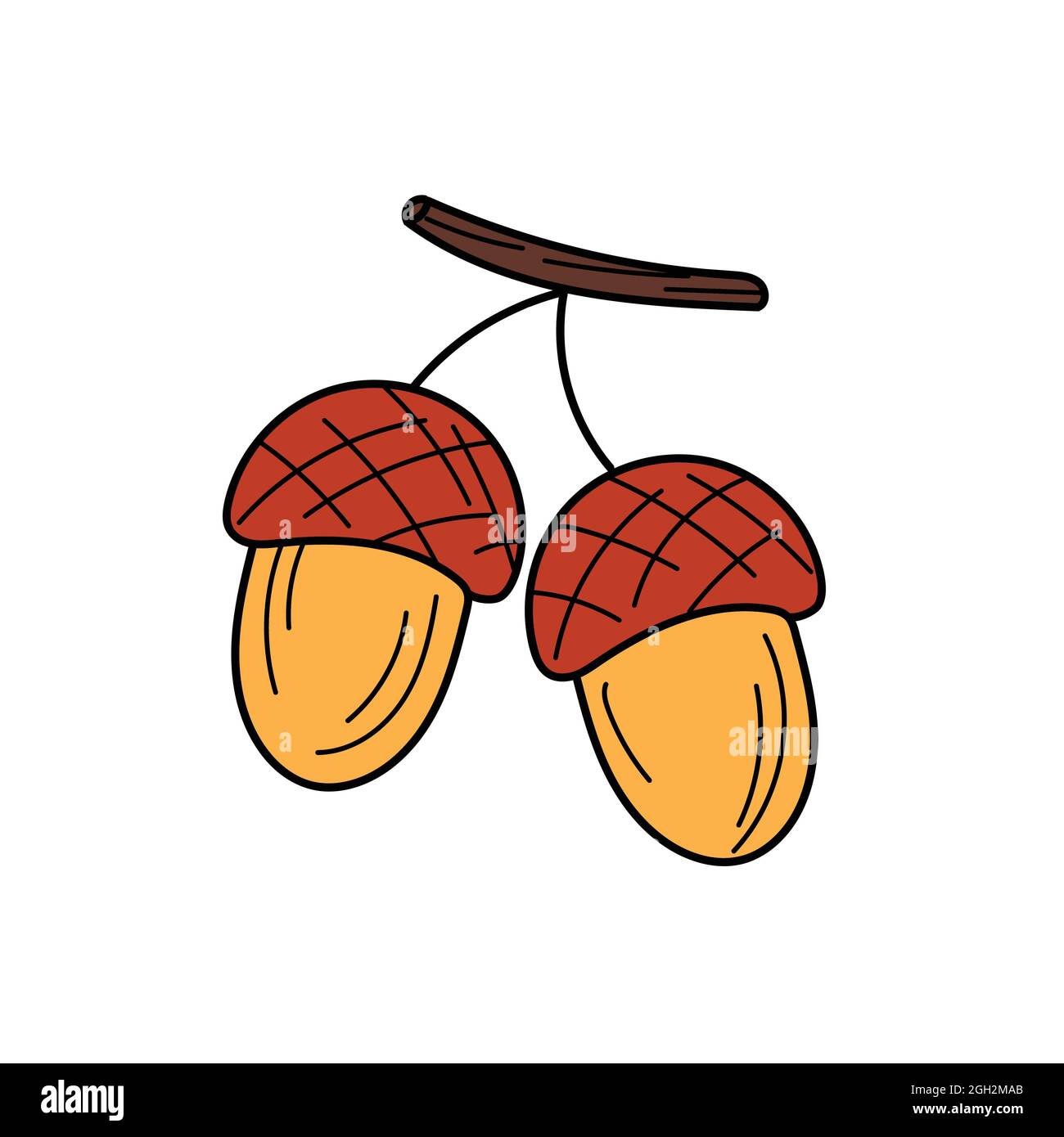 Acorn vector icon. Hand drawn print. Sticker design on white. Simple ...