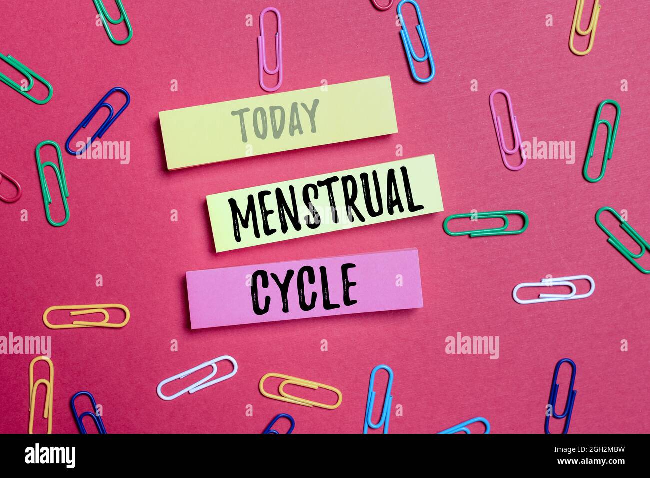 Uterine Lining During Period