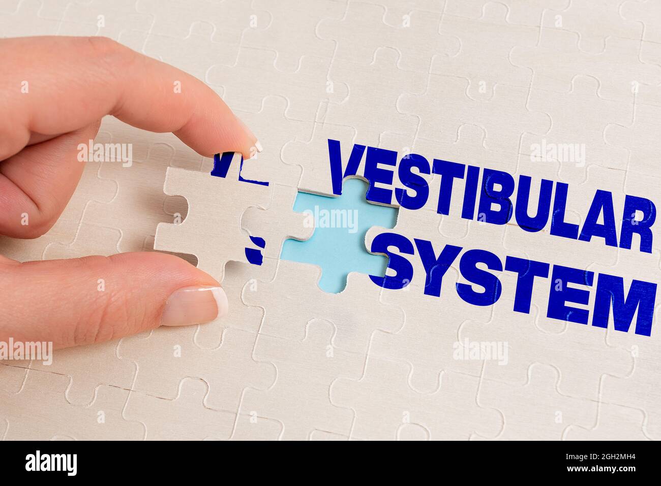 Vestibular system hi-res stock photography and images - Alamy