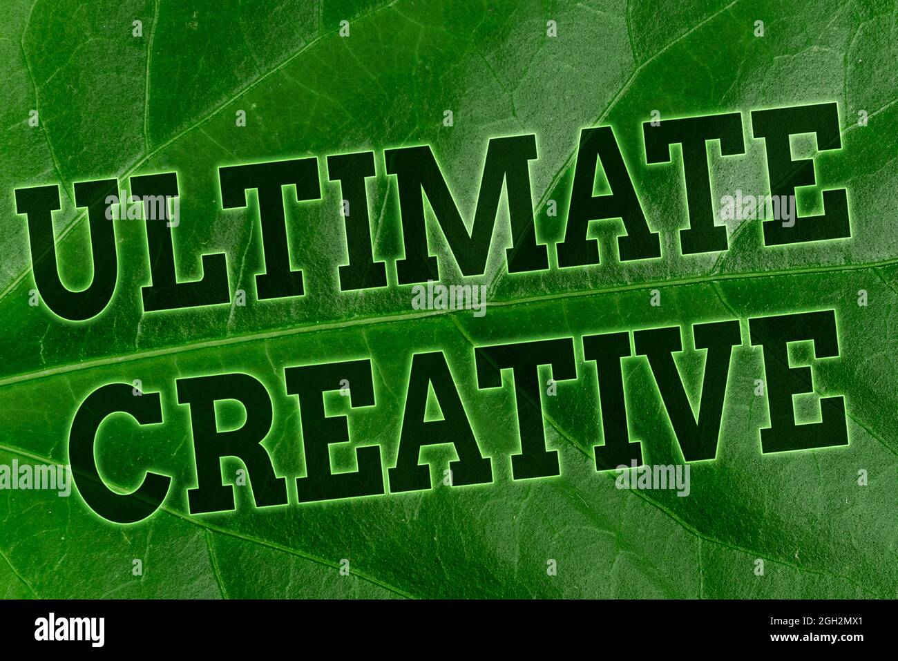 Text caption presenting Ultimate Creative. Internet Concept way of ...