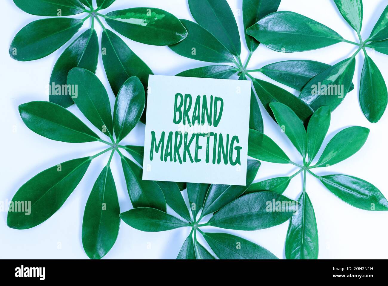 Conceptual caption Brand Marketing. Concept meaning creating a name ...