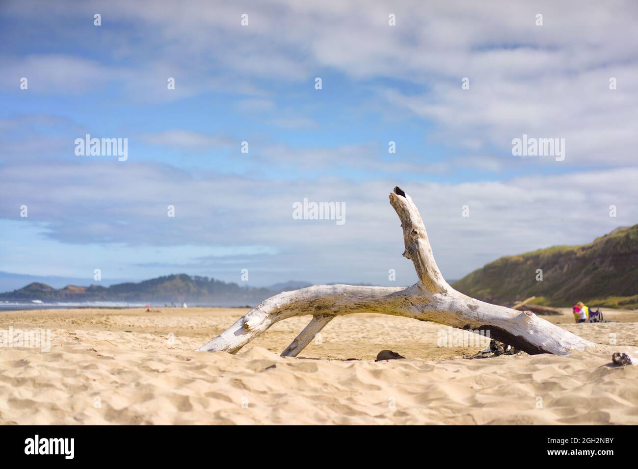 The beautiful coastline of Highway 101 in California, USA Stock Photo ...