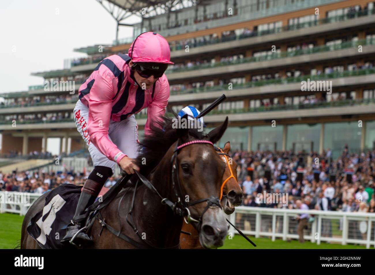 Jockey robert havlin newmarket racecourse hi-res stock photography and ...