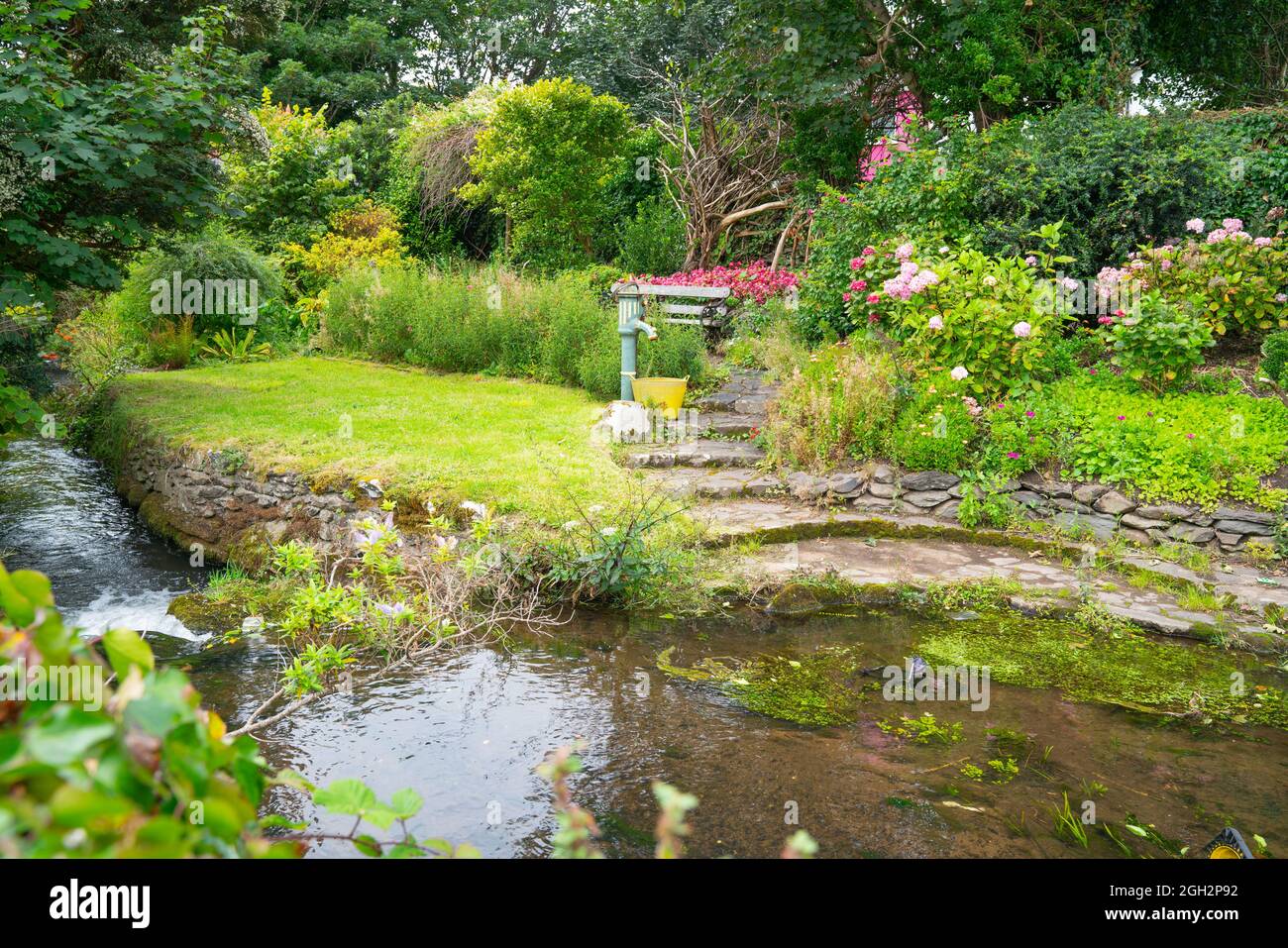 Wild garden with stone path and steps past hand water pump alongside ...
