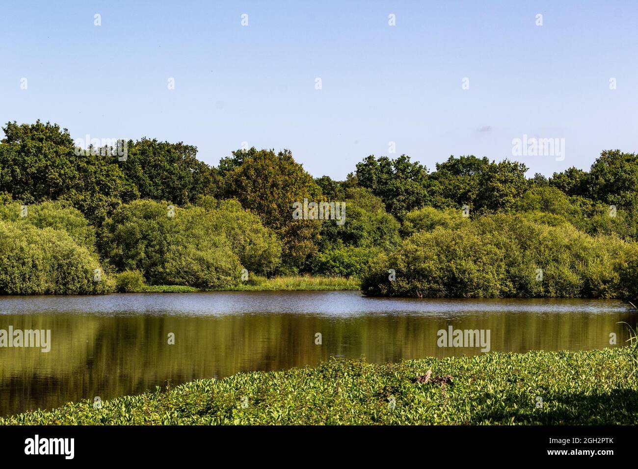 Earth's golden land Stock Photo - Alamy