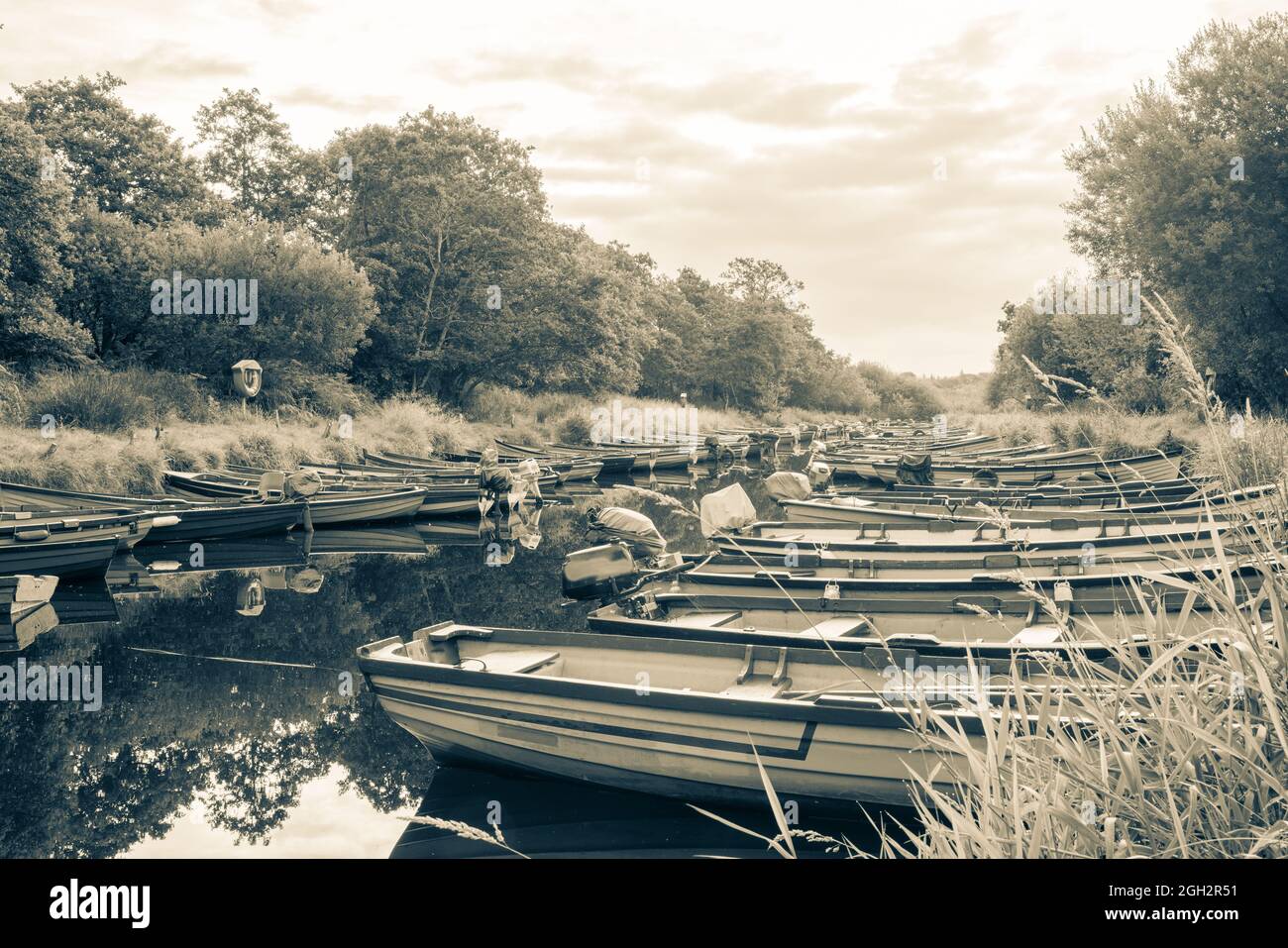 Traditional clinker dinghy boats tied to sides of canal leading to Ross ...