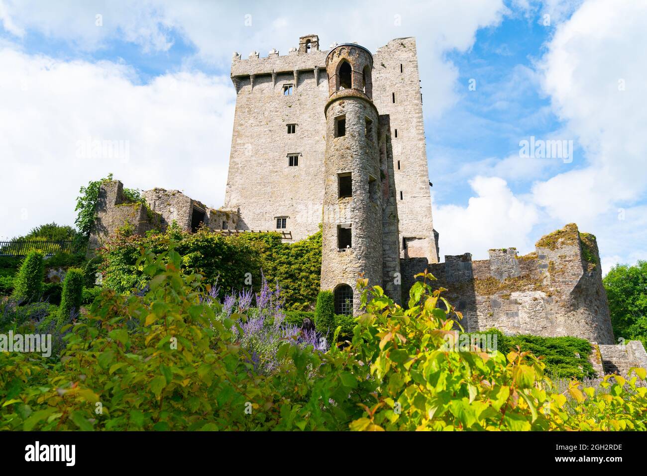 East wall and tower of medieval castle known as Blarney Castle in ...
