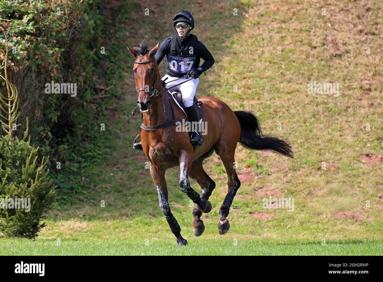 Hd bronze hi-res stock photography and images - Alamy