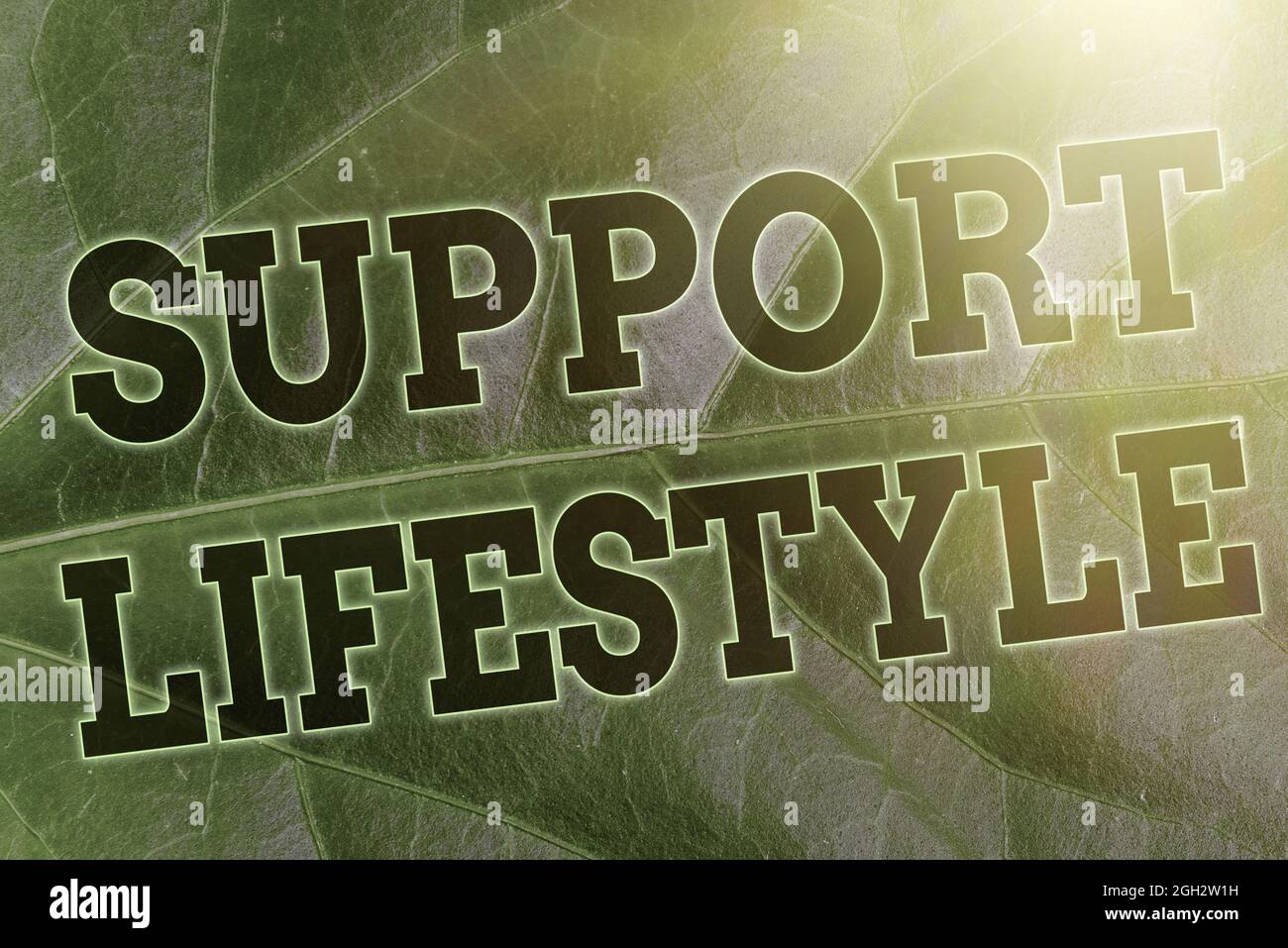 Inspiration showing sign Support Lifestyle. Concept meaning habits that ...