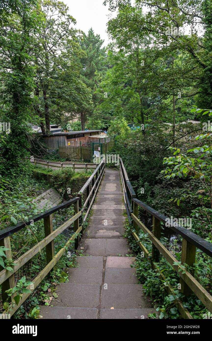 Jesmond Dene is a public park in the eastern area of Newcastle upon ...