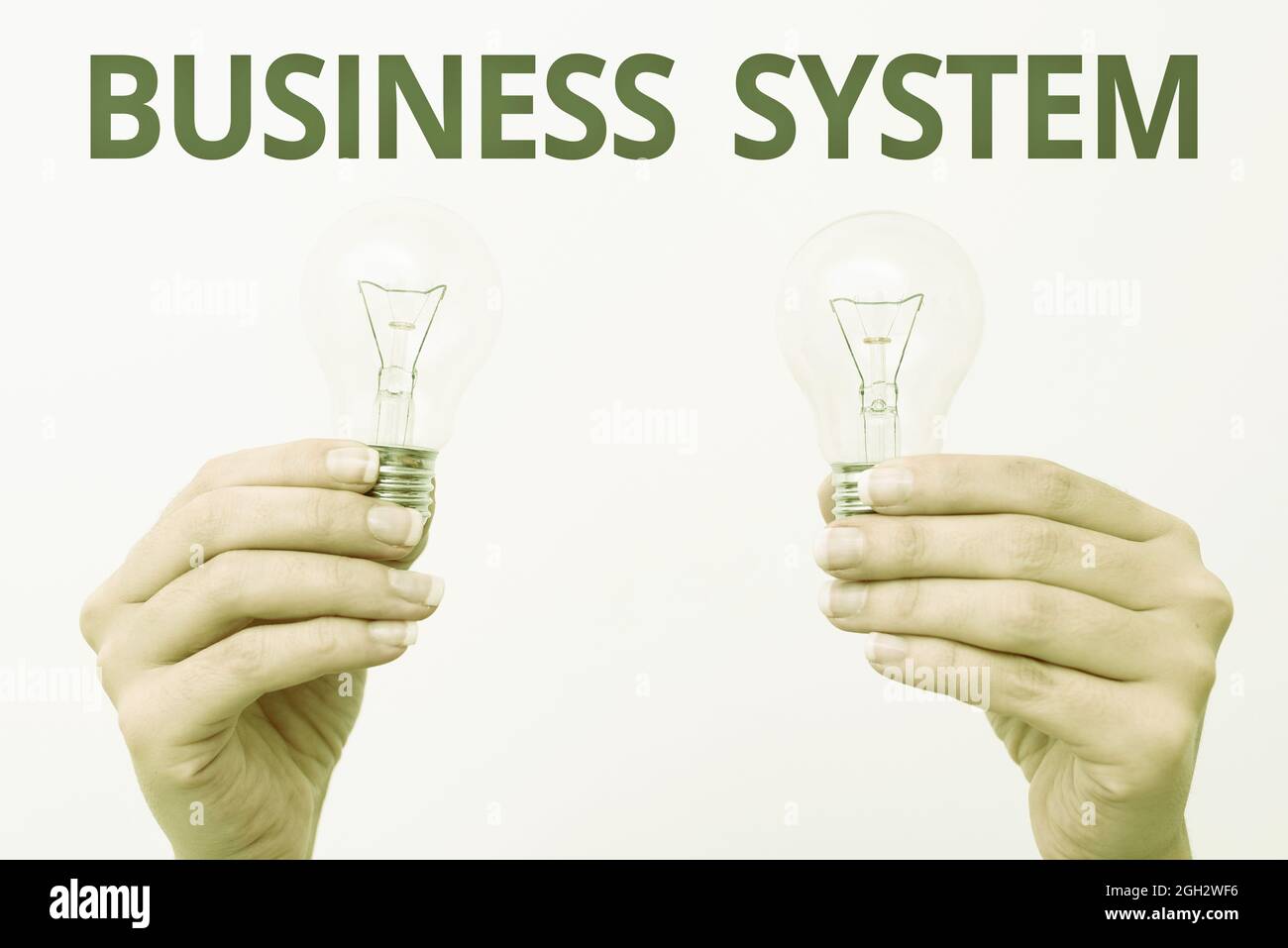 Text caption presenting Business System. Business showcase delivery ...