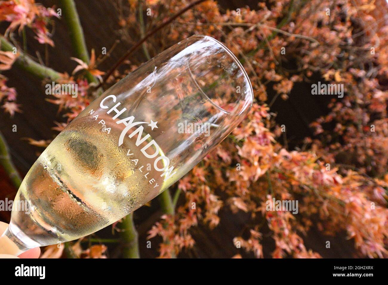 Domaine chandon hi-res stock photography and images - Alamy