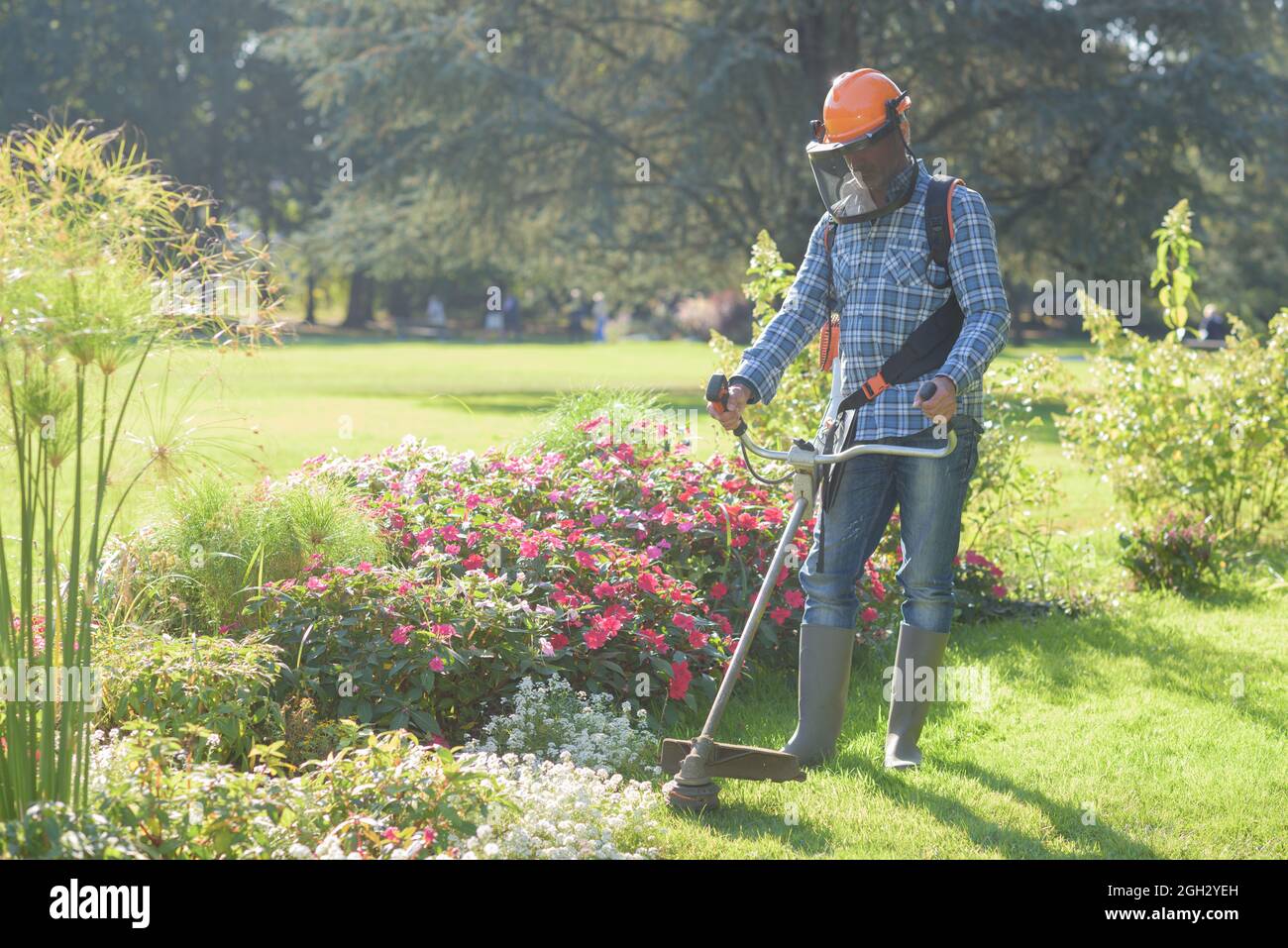 Weeding machine hi-res stock photography and images - Alamy