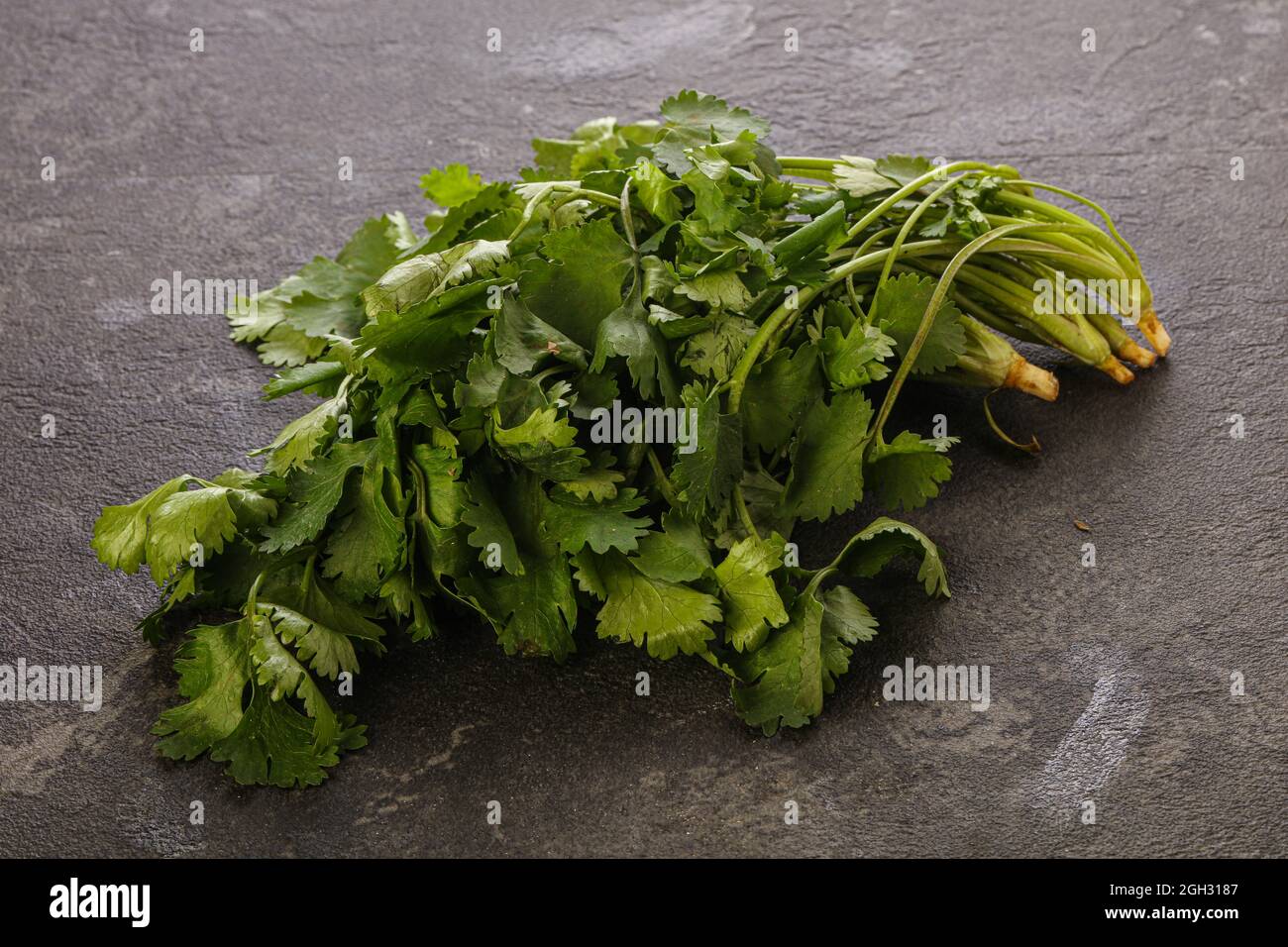 Fresh green Coriander leaves heap isolated Stock Photo - Alamy