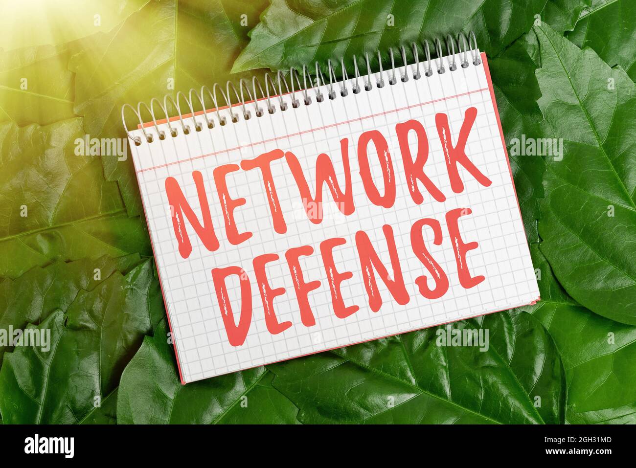 Text showing inspiration Network Defense, Business concept easures to ...