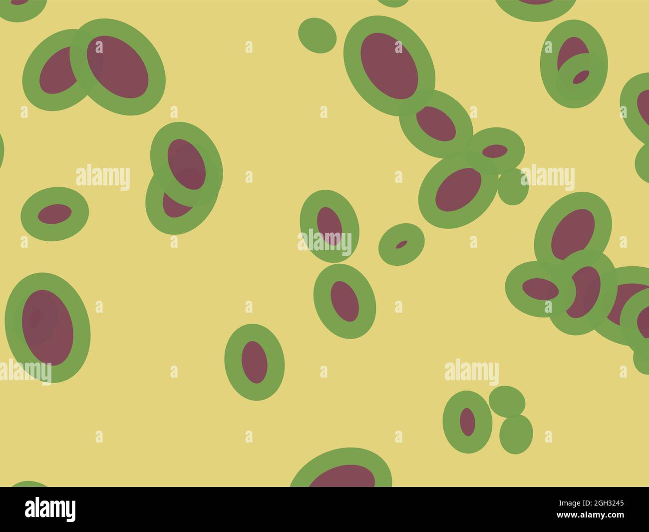 Random Circles Ovals Ellipses Colorful Multicolor Abstract Background Pattern Texture