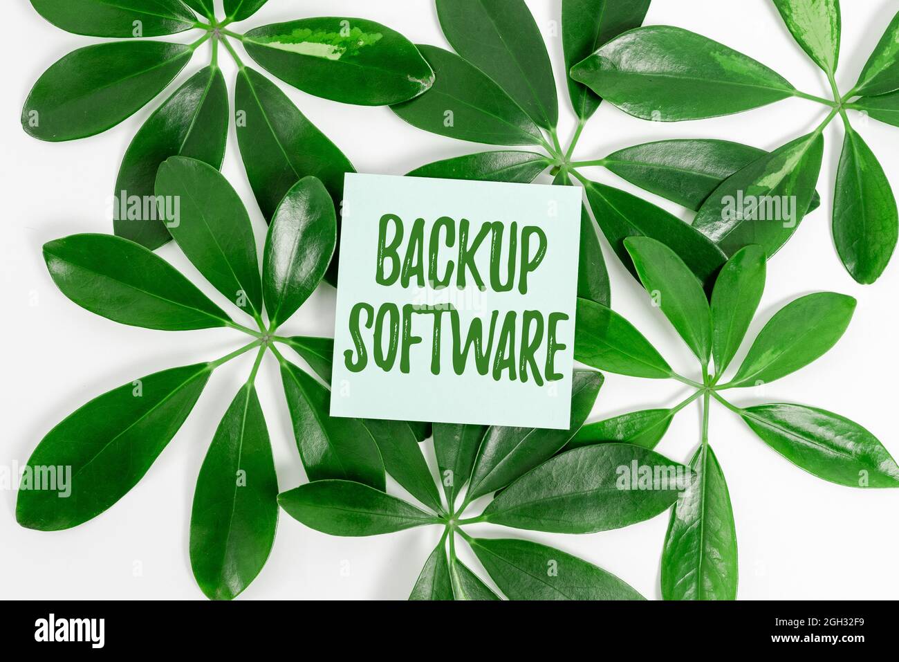 Writing Displaying Text Backup Software Business Approach Create Extra Exact Copies Of Files Or