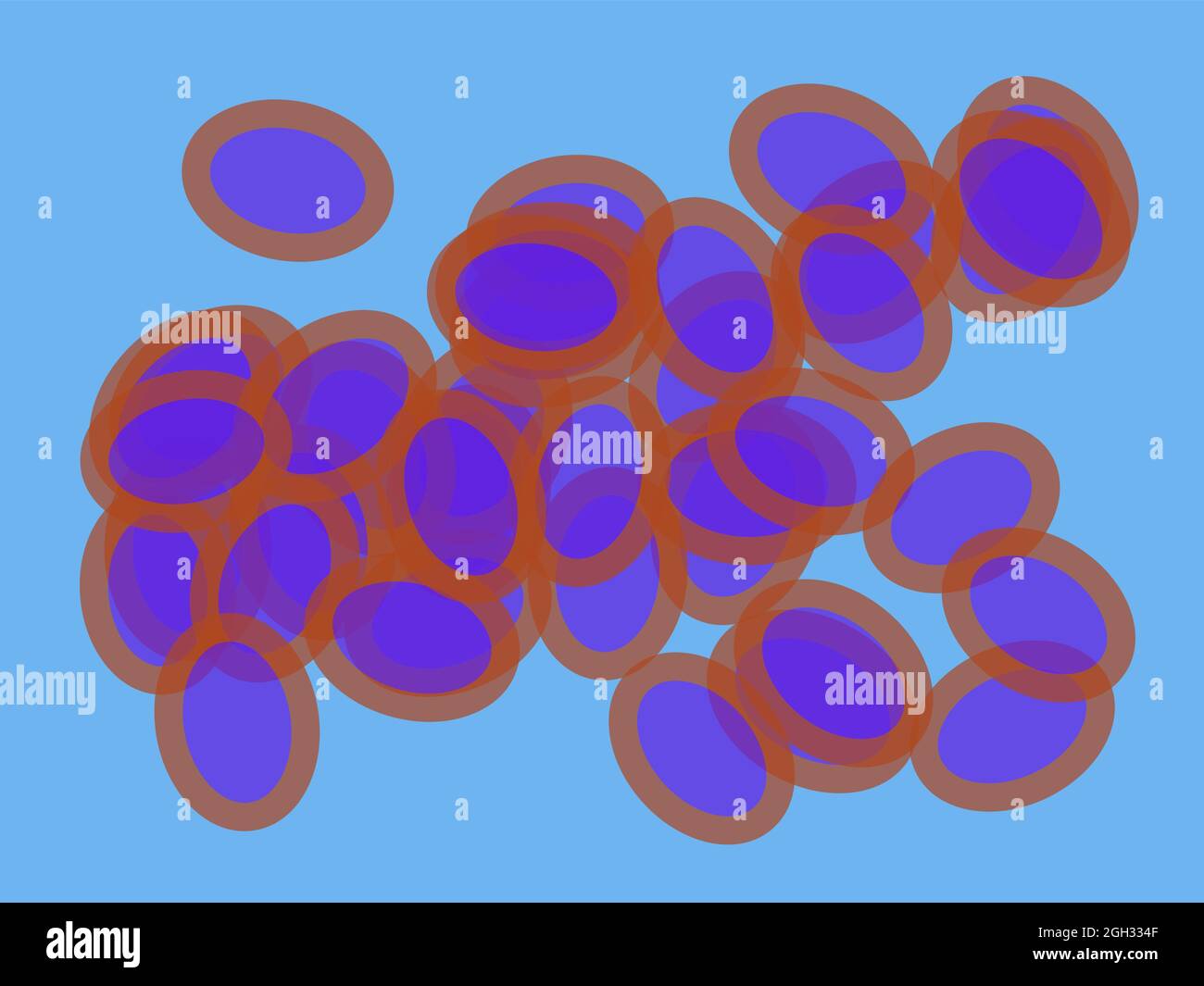 Random Circles Ovals Ellipses Colorful Multicolor Abstract Background Pattern Texture