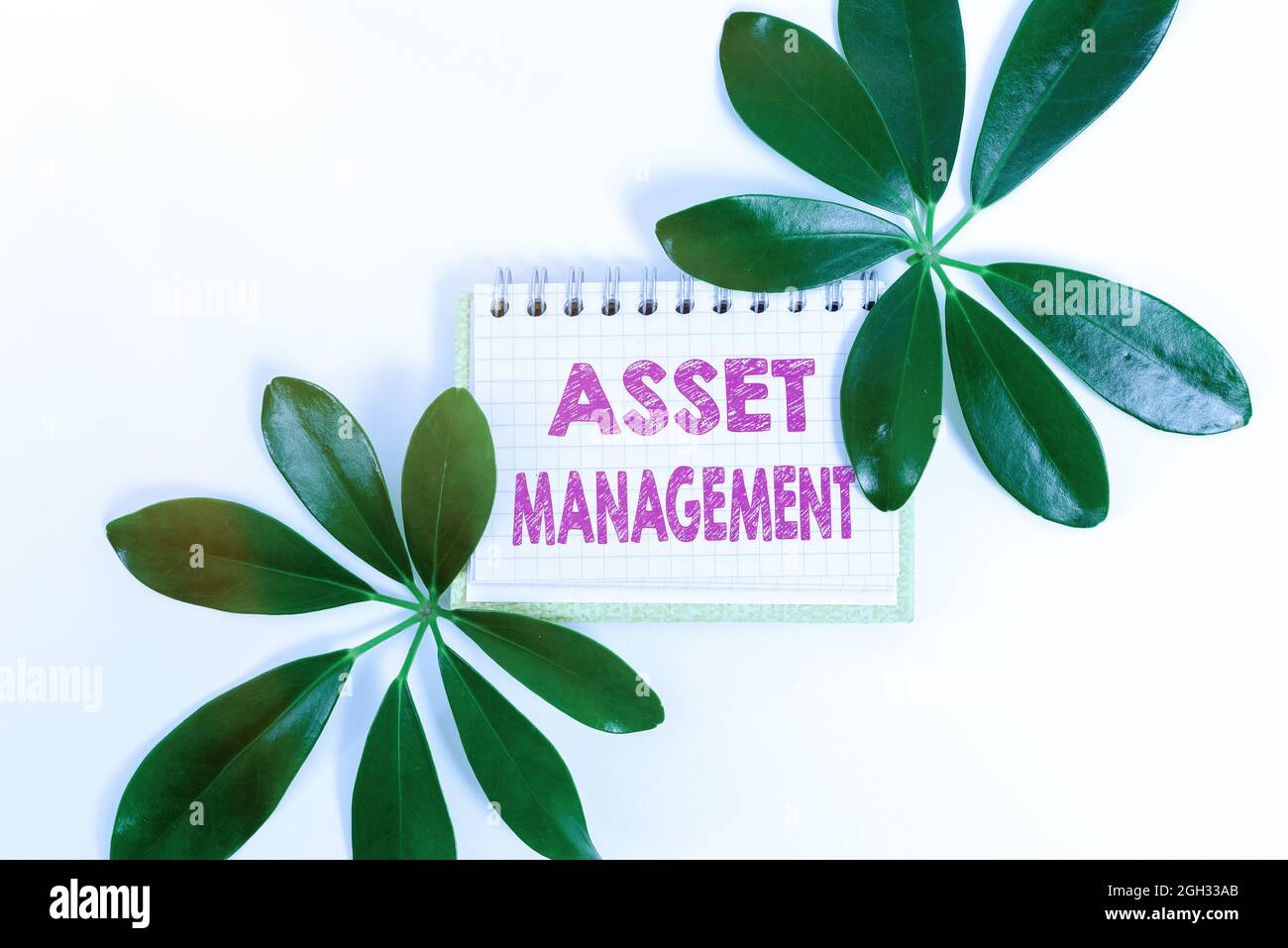 Text caption presenting Asset Management. Business approach managed ...