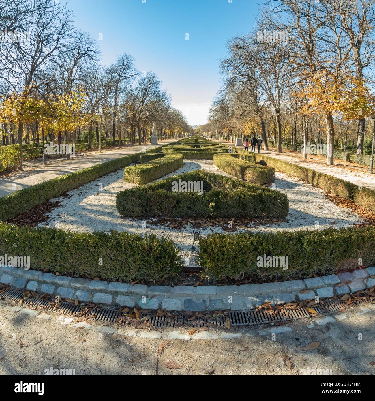 Colourful autumn trees with yellow leafs in the Retiro Park in Madrid ...