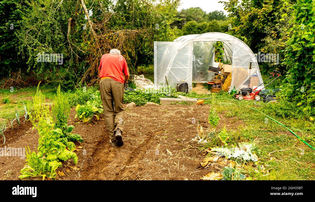orchard with a man working the land Stock Photo - Alamy