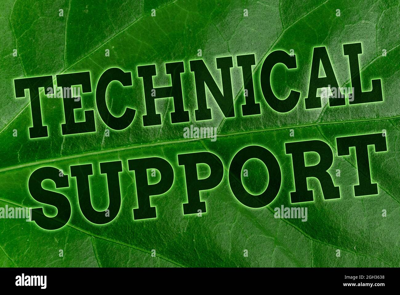Conceptual caption Technical Support. Business approach service ...