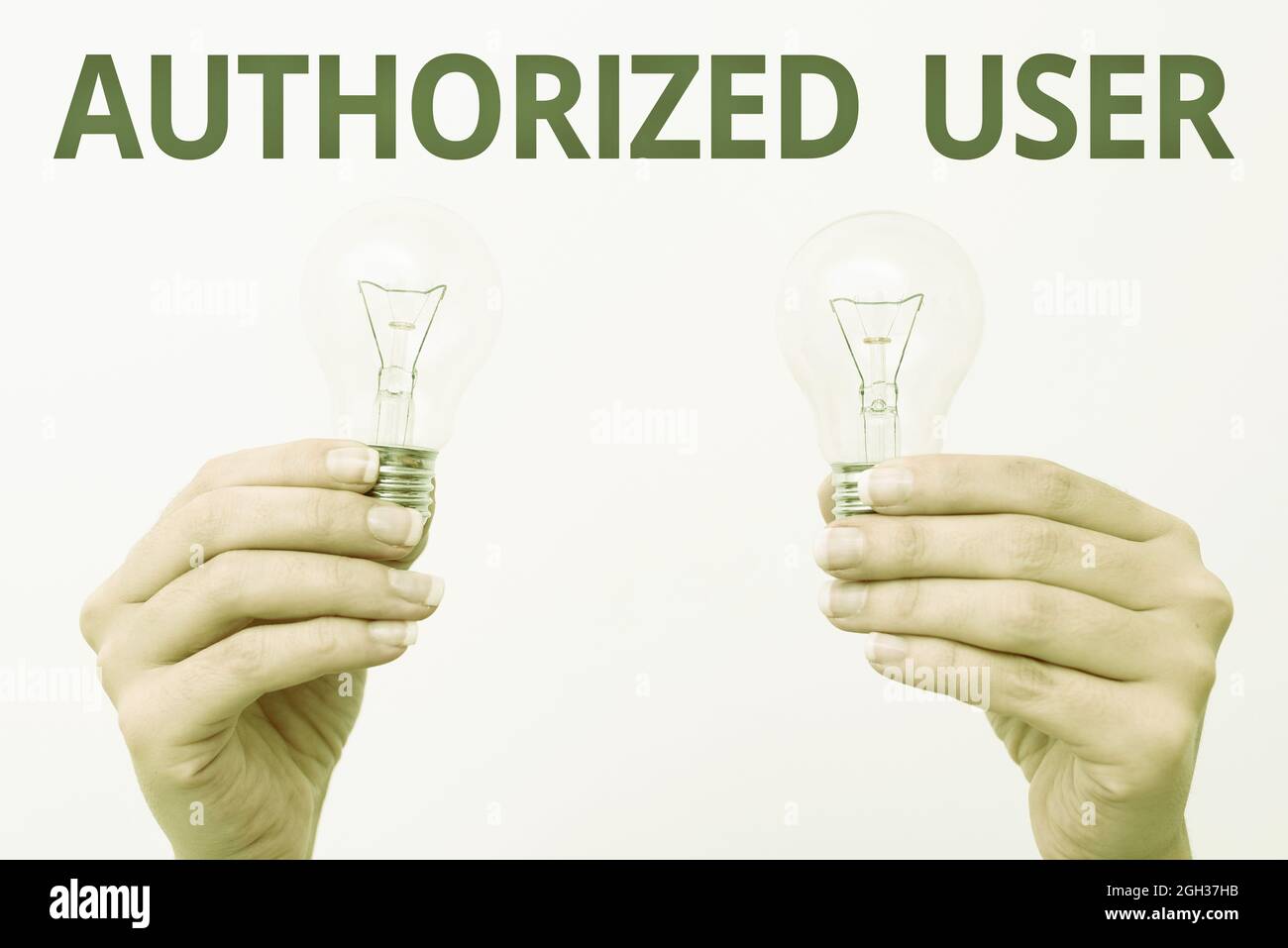 Conceptual display Authorized User. Business overview person granted ...