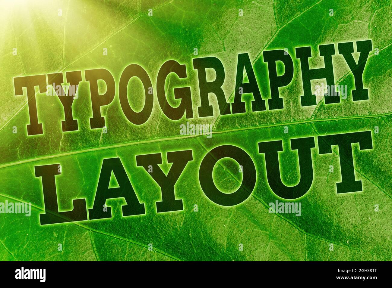 Text showing inspiration Typography Layout. Word Written on theory and ...